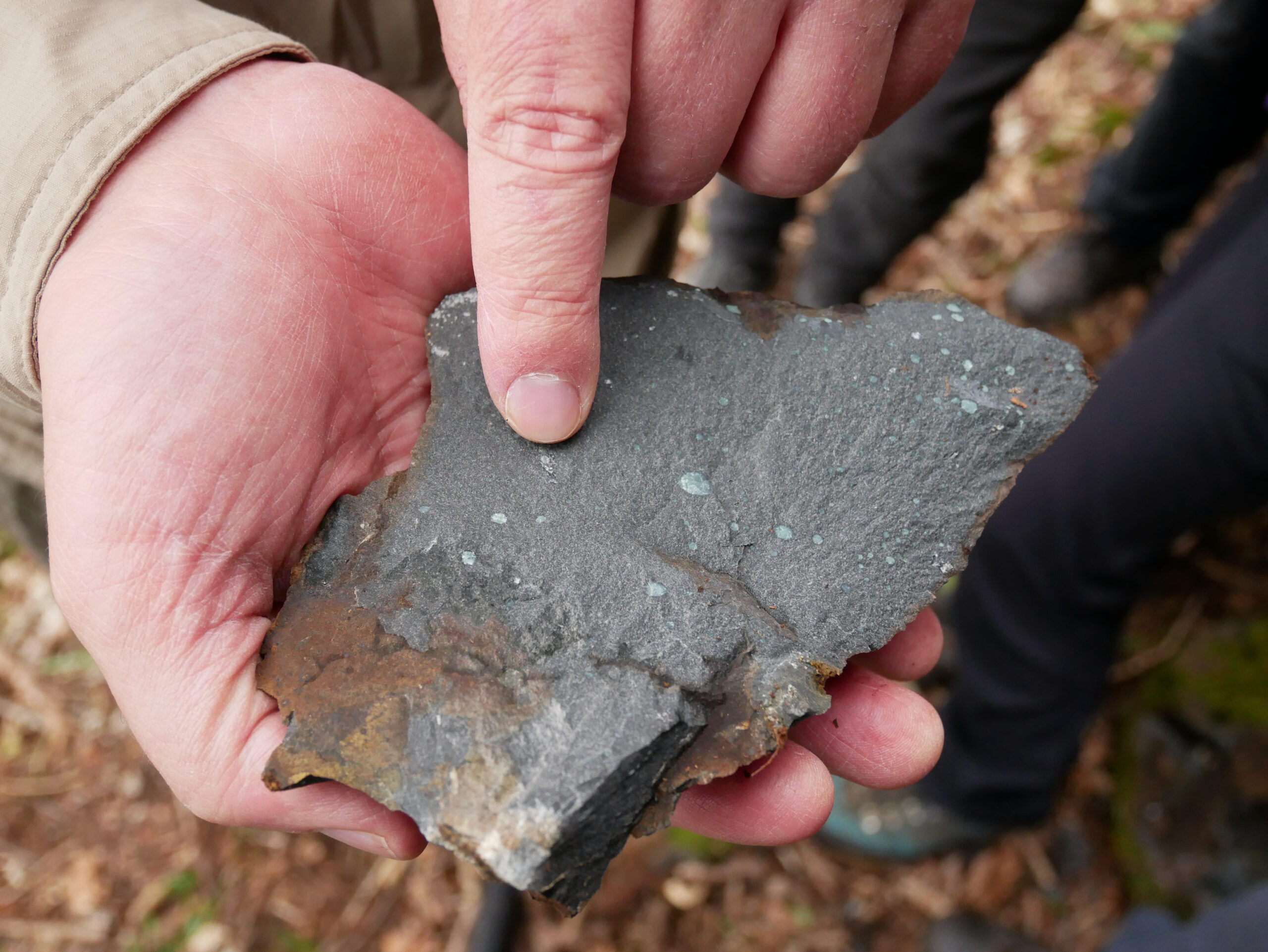 K-Ar and Ar/Ar geochronology - GAEA - Geo-Biosciences Advanced E ...